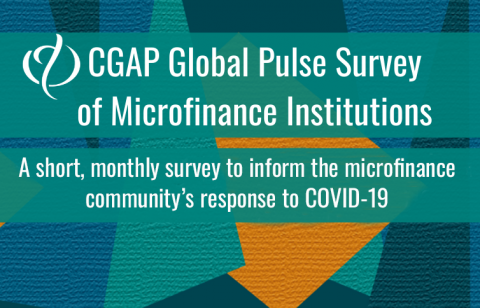 CGAP Pulse Survey of Microfinance Institutions - infine